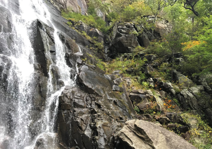 Copy Fall Color - Chimney Rock at Chimney Rock State Park