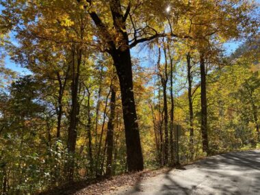 Fall Color Reports for 2020 - Chimney Rock at Chimney Rock State Park