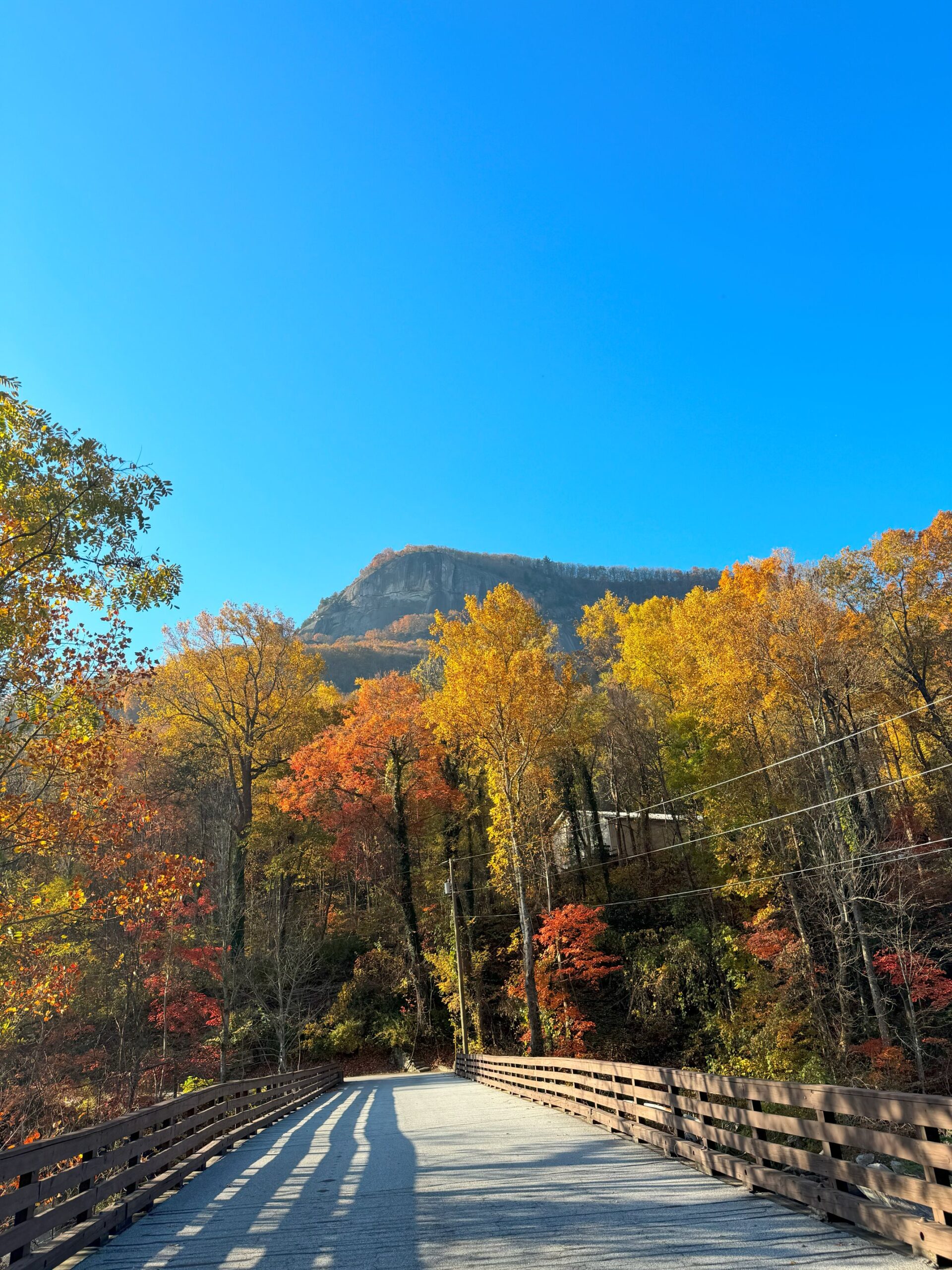 Fall Color Reports for 2023 - Chimney Rock at Chimney Rock State Park